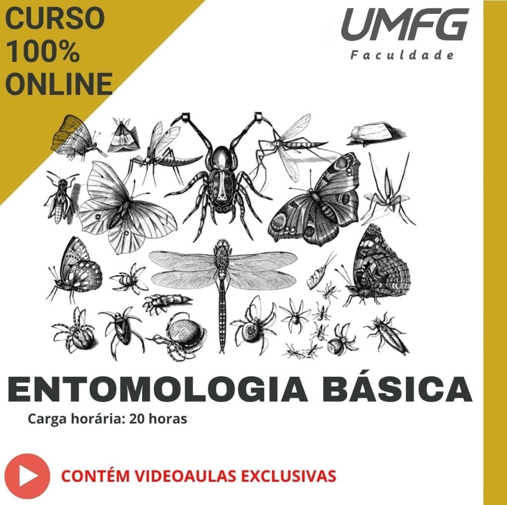 Entomologia básica – Cursos UMFG